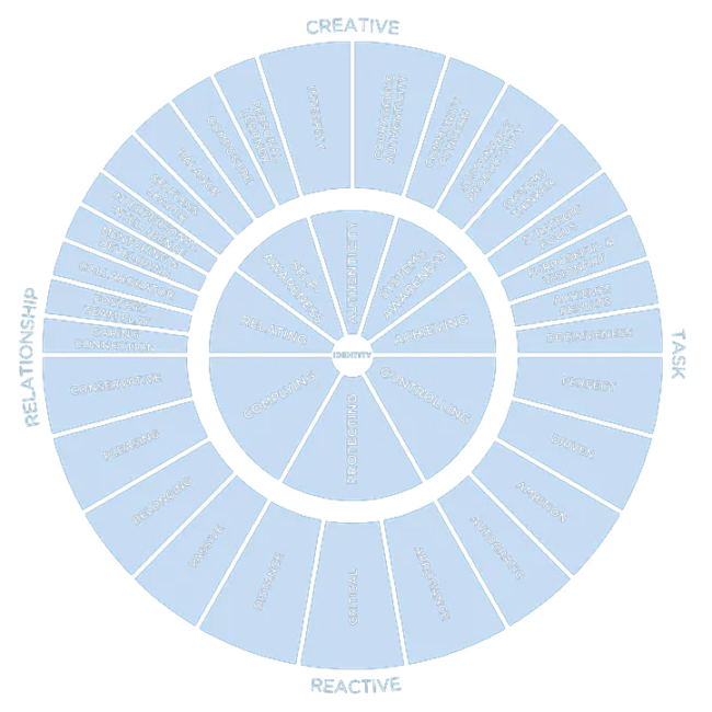 Leadership Circle Profile - Hopkins Leadership